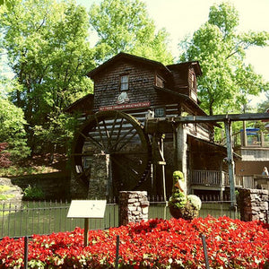 Camp Snap Waterproof Case for Digital Camera | Camp Snap