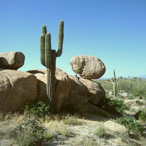 Camp Snap Waterproof Case for Digital Camera | Camp Snap